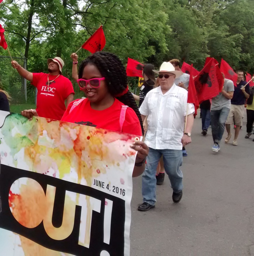 Open Position: Field Organizer for FLOC – Farm Labor Organizing ...