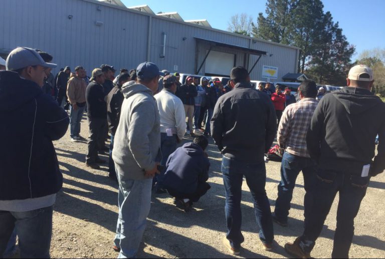 News – Farm Labor Organizing Committee, AFL-CIO